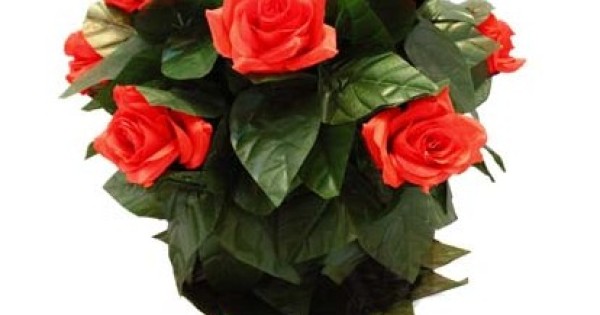 BLOOMING ROSE BUSH - REMOTE CONTROL - 10 FLOWERS - ORIGINAL VERSION ...