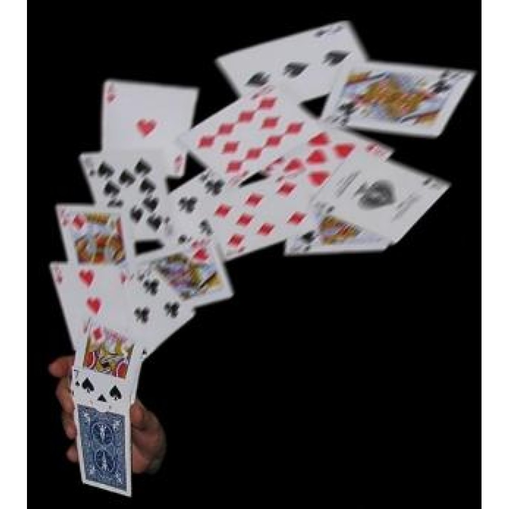 CARD FOUNTAIN CASE - KM0543