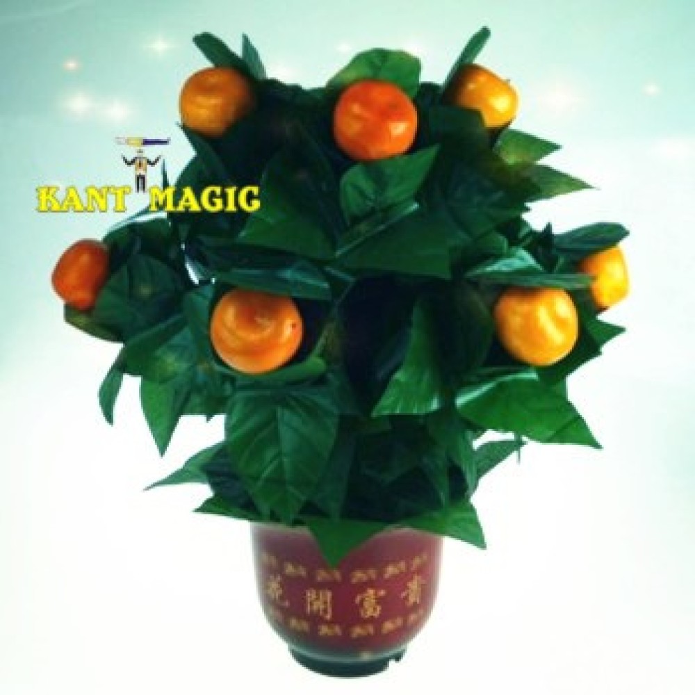 THE ORANGE TREE ILLUSION (10 ORANGES) - KM0512