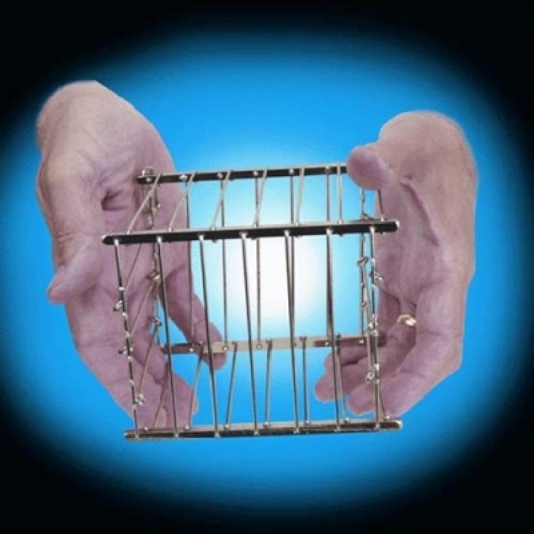 VANISHING BIRD CAGE - KM0360